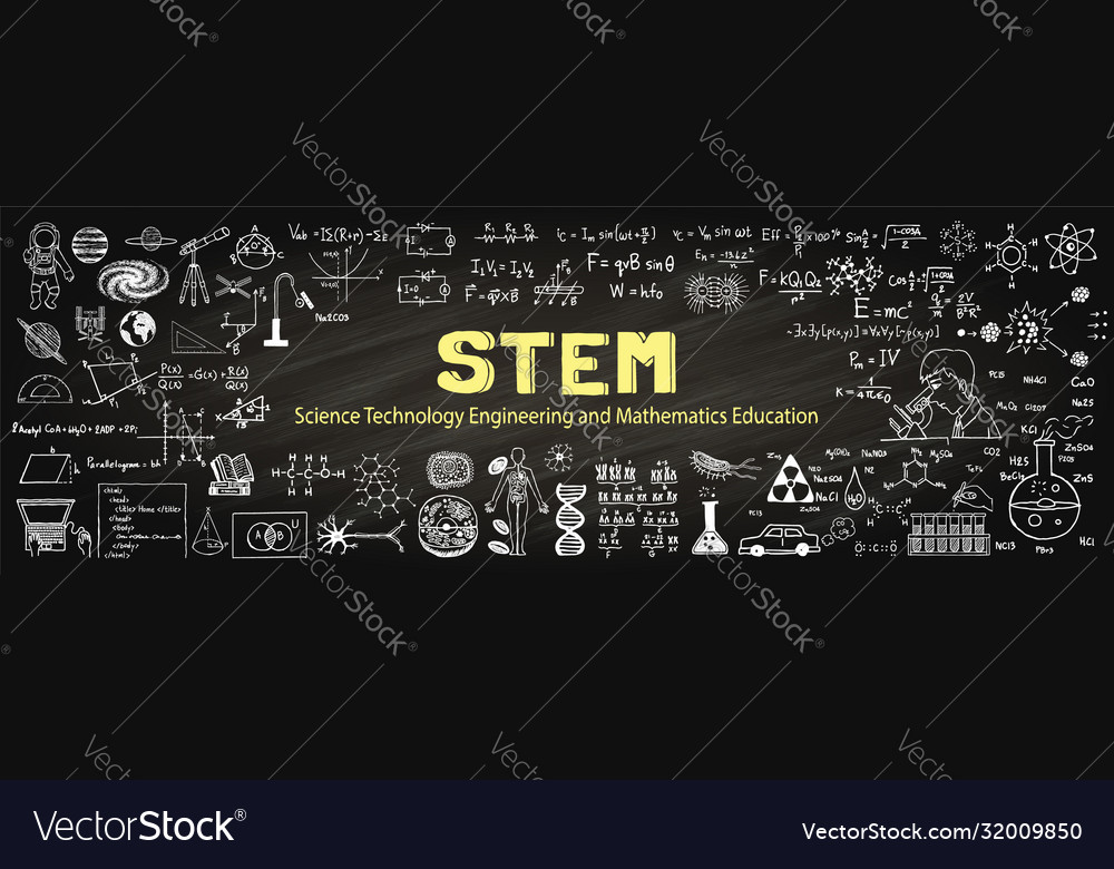 Stem Royalty Free Vector Image - VectorStock