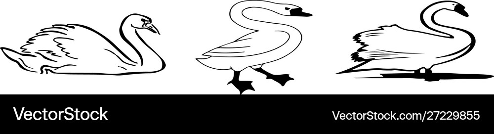 Goose or swan icon on white background Royalty Free Vector