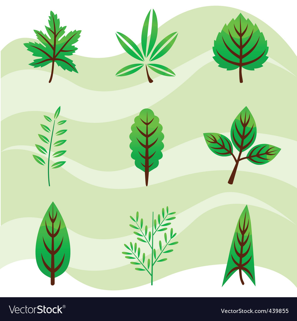 Leaf Royalty Free Vector Image - VectorStock