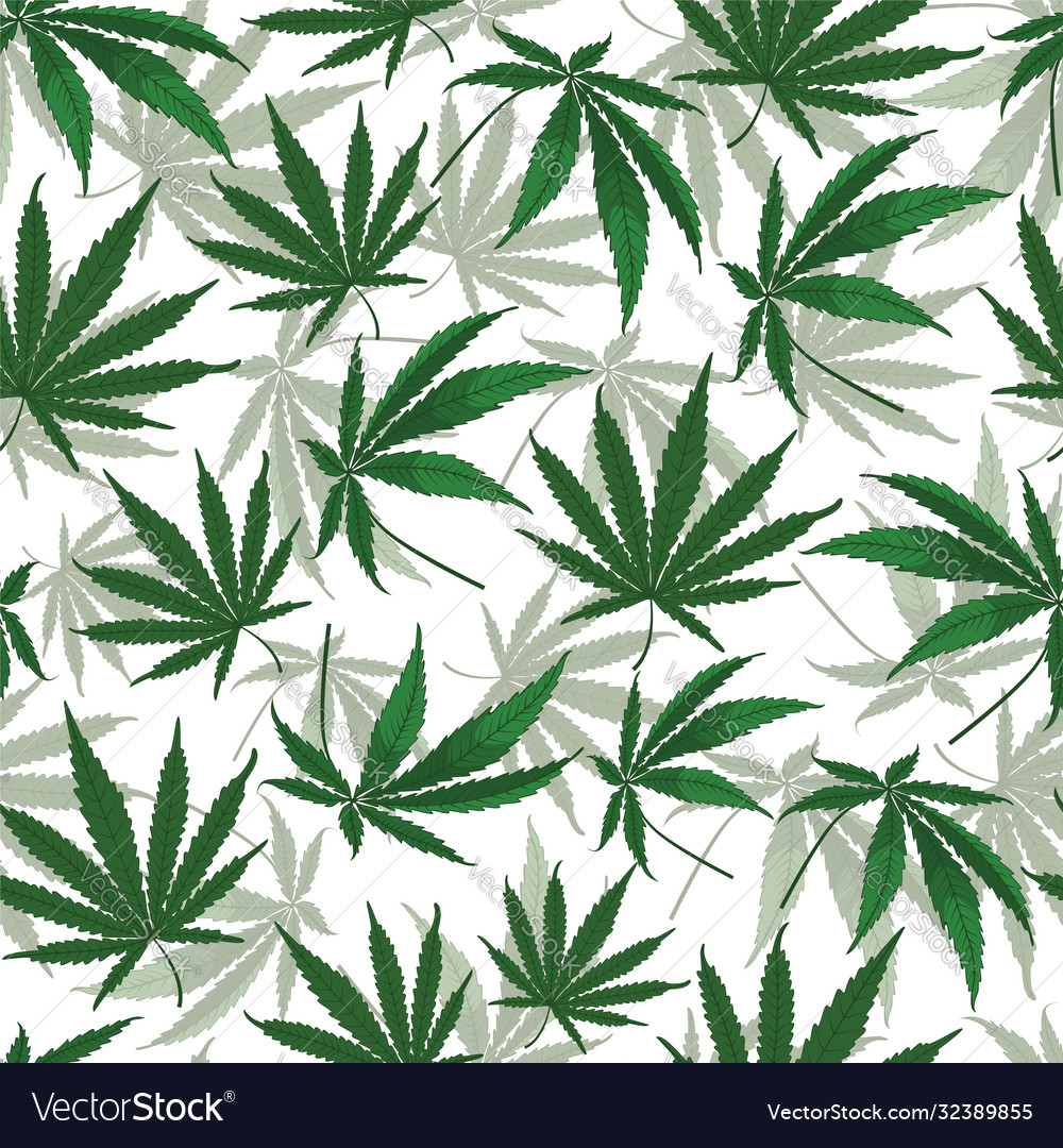 Marijuana Leaf Seamless Pattern Royalty Free Vector Image