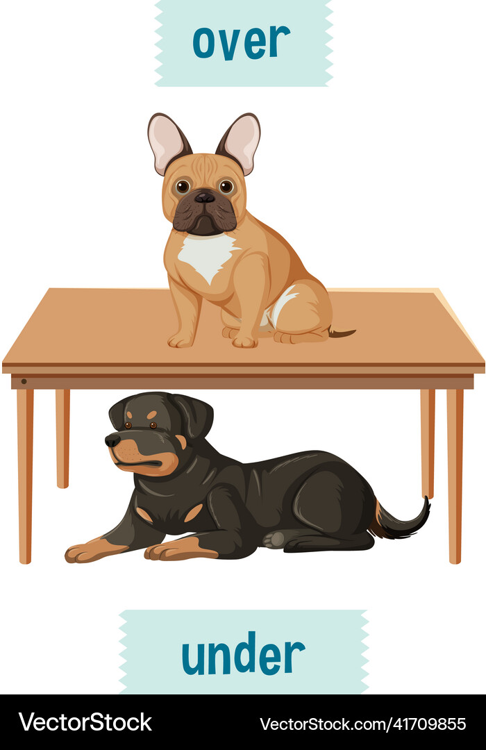 Prepostion wordcard design with dog over Vector Image