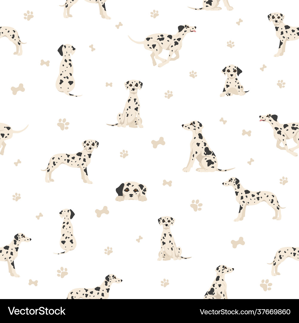 Dalmatian dogs seamless pattern different poses Vector Image