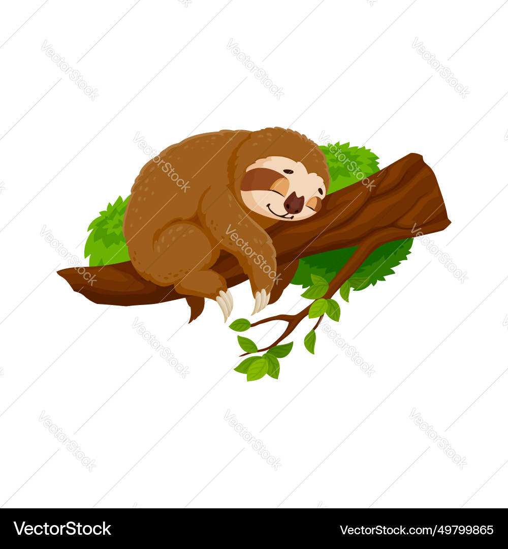 Cartoon sloth character slumbers on tree branch Vector Image