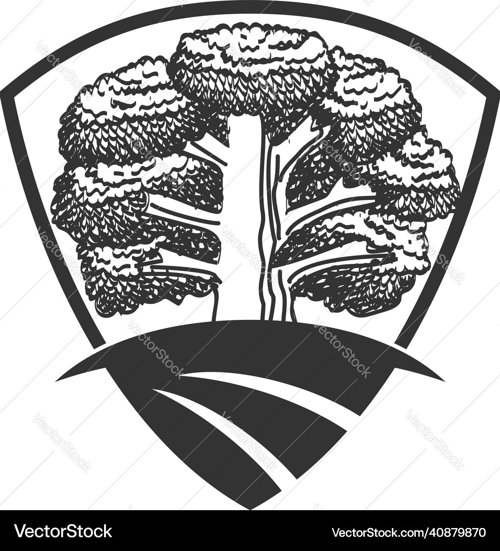Oak tree shield farm icon brand identity Vector Image