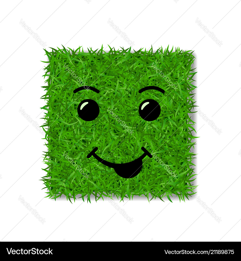 Green grass square field 3d face smile smiley Vector Image