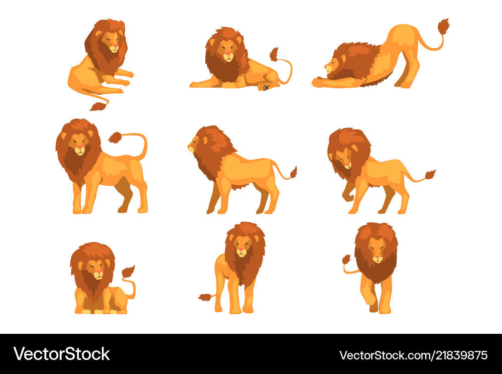 Proud powerful lion character in different actions