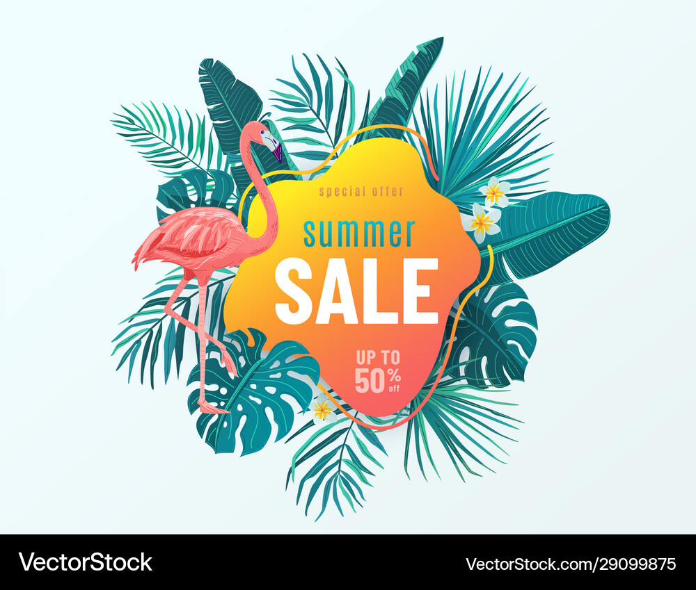 Summer sale banner background with bright Vector Image