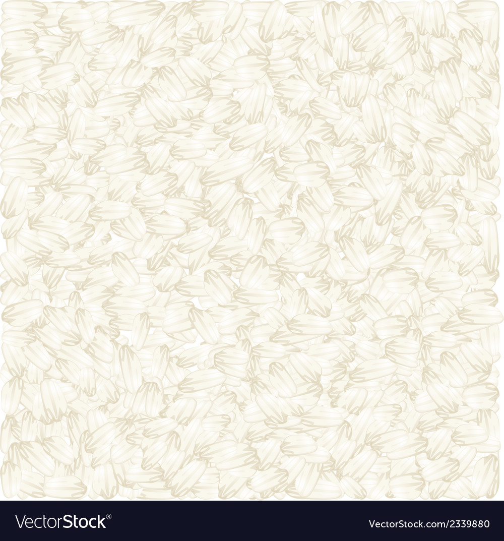 White rice background Royalty Free Vector Image