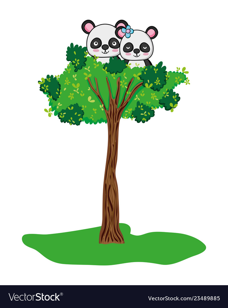 Cute panda wild animal and tree Royalty Free Vector Image