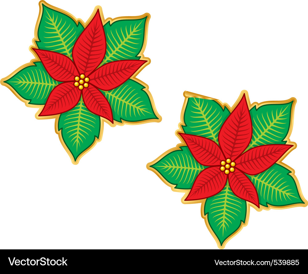 Red Poinsettia Flower Royalty Free Vector Image