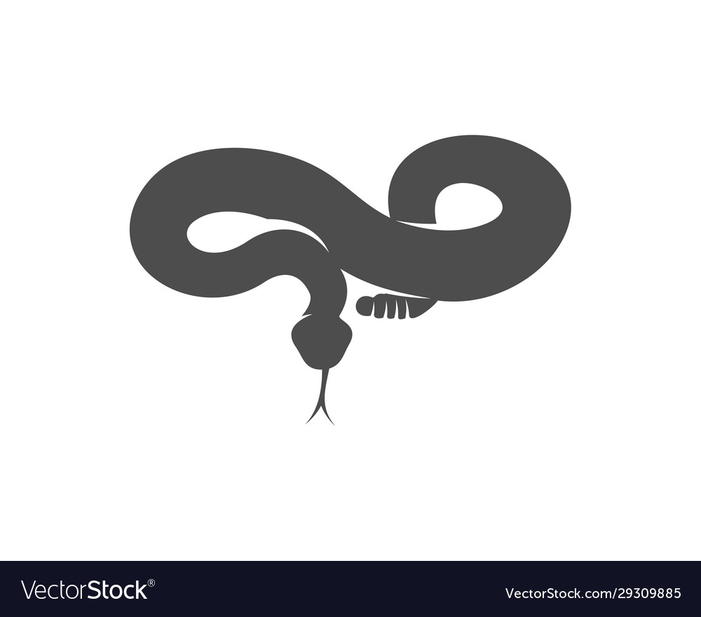 Viper snake logo design animal graphic snake Vector Image