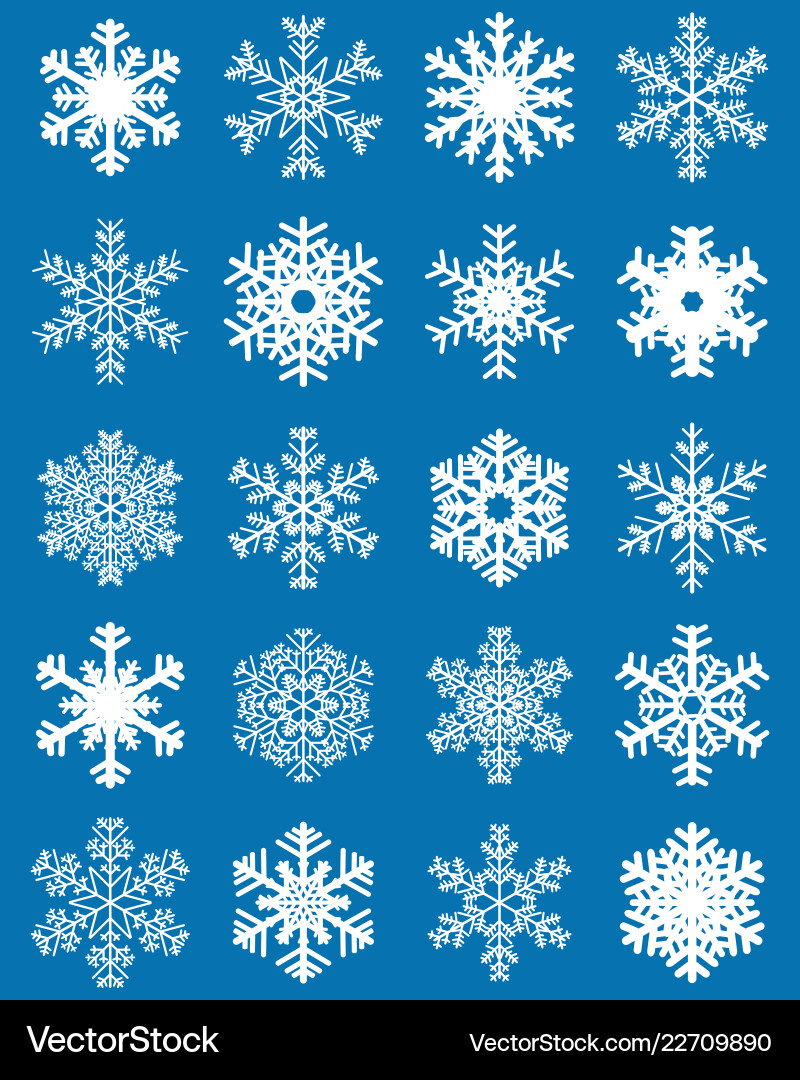 Set of different white snowflakes Royalty Free Vector Image