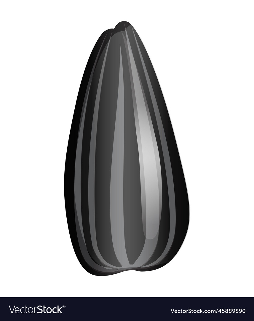 Sunflower seed icon logo Royalty Free Vector Image