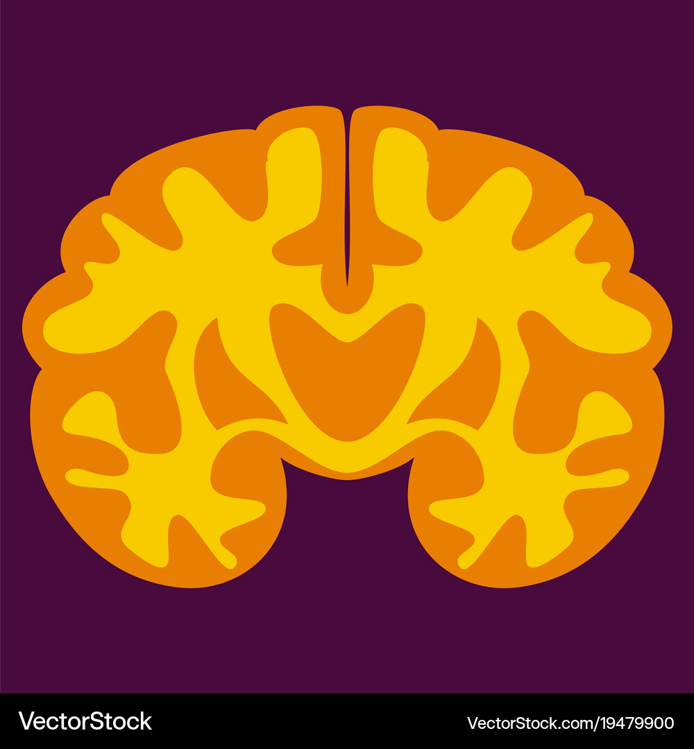 Brain in flat monochrome color on white background
