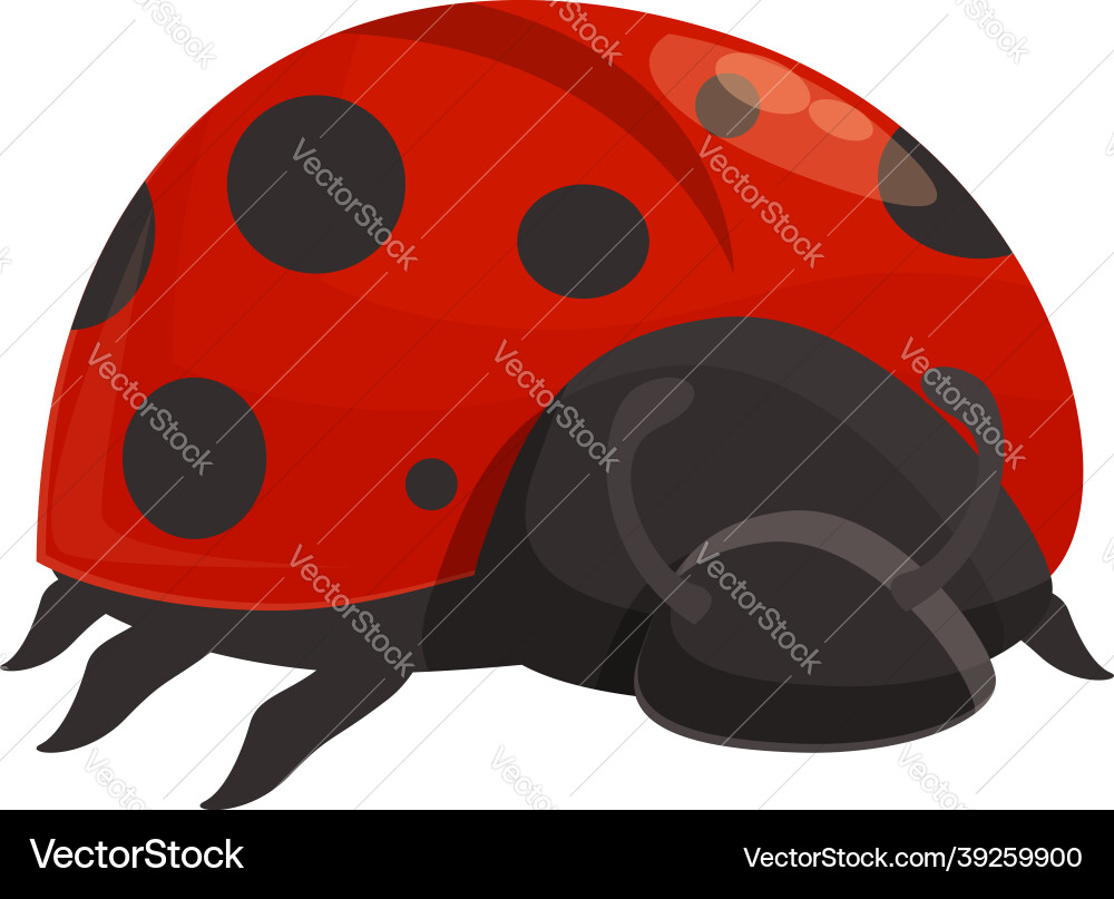 Summer ladybug icon cartoon ladybird bug Vector Image