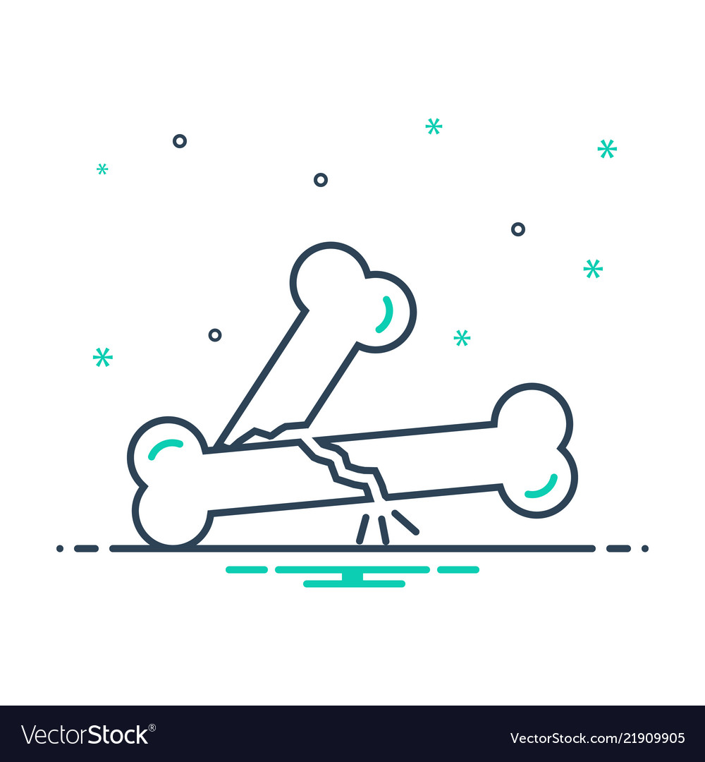 Broken bone Royalty Free Vector Image - VectorStock