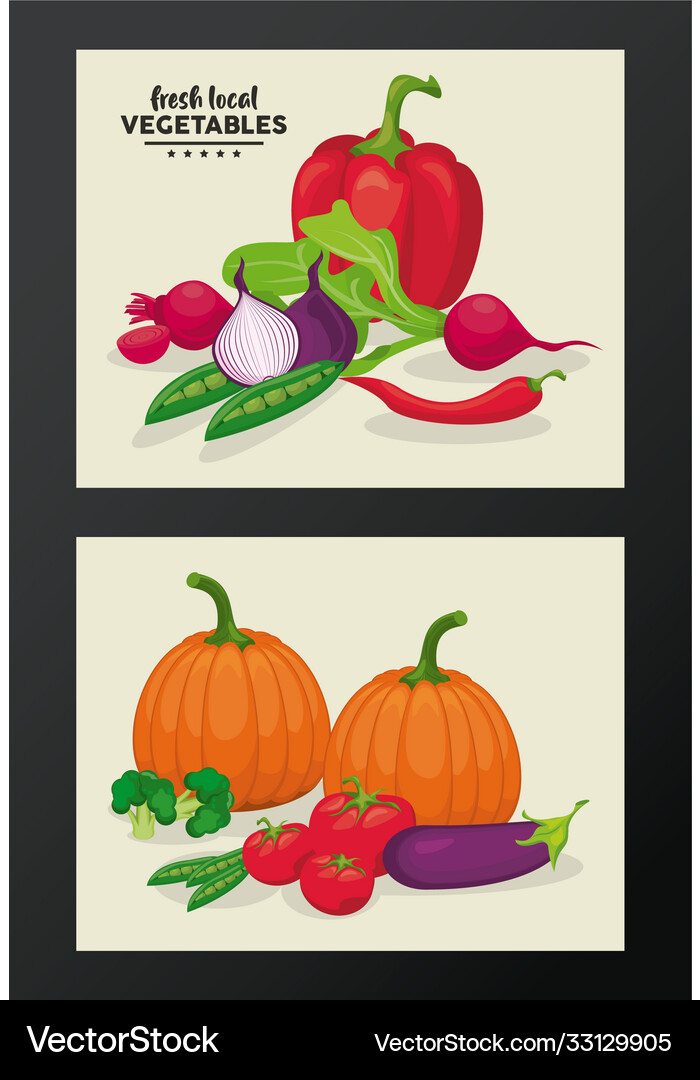 Local fresh vegetables letterings in backgrounds Vector Image
