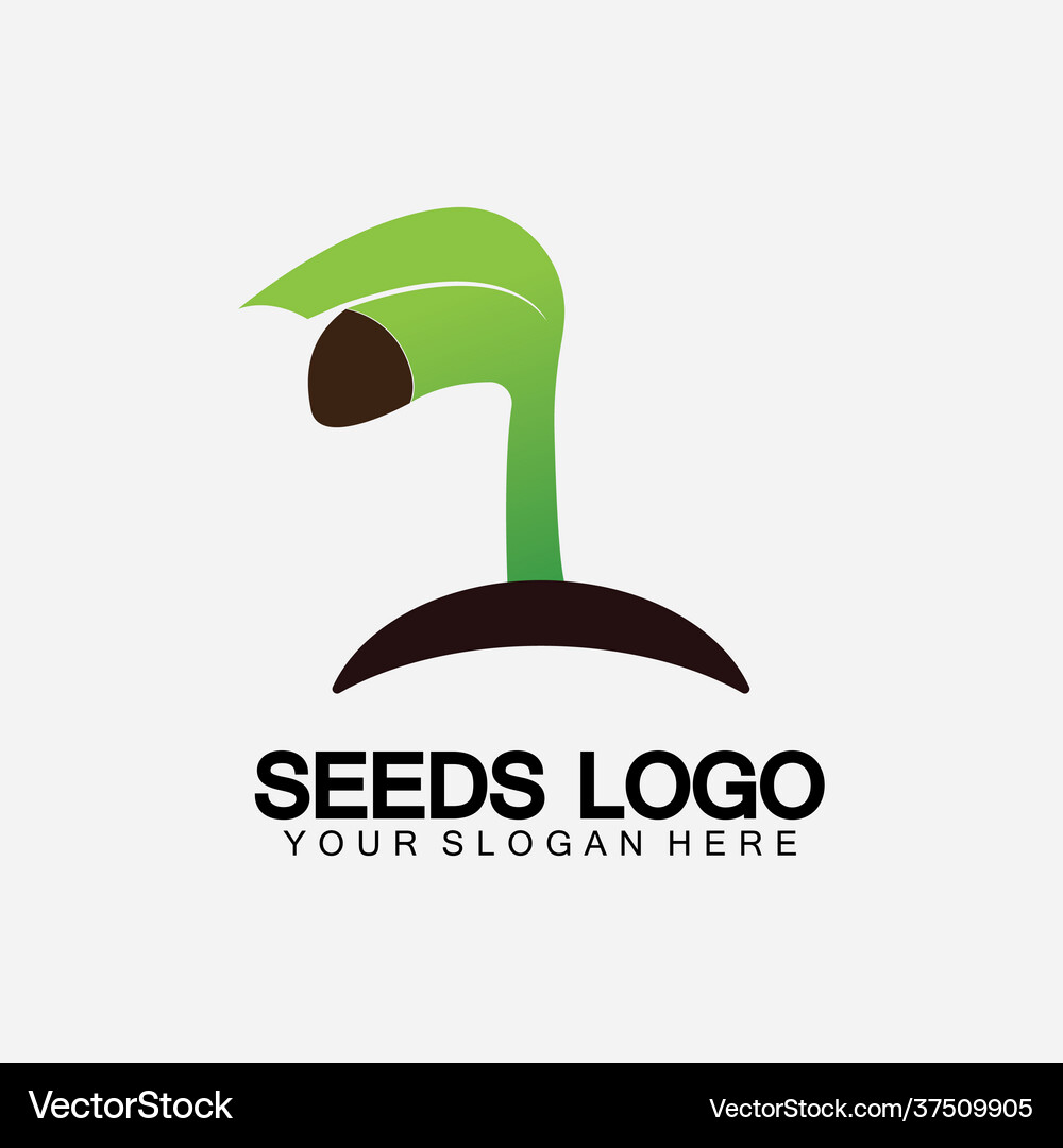 Plant seeds logo concept template growing seed Vector Image
