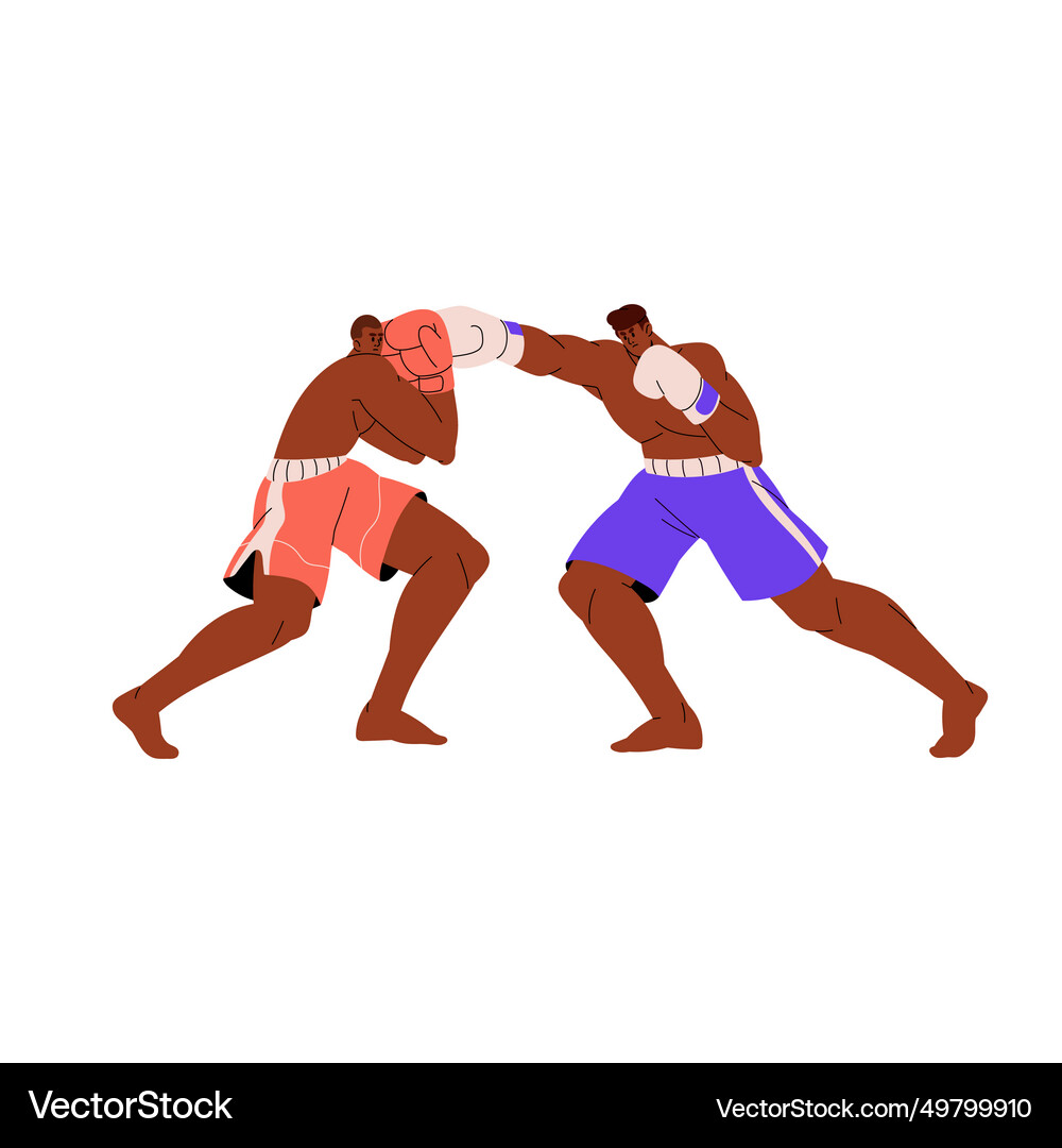 Box competition professional boxer in boxing Vector Image