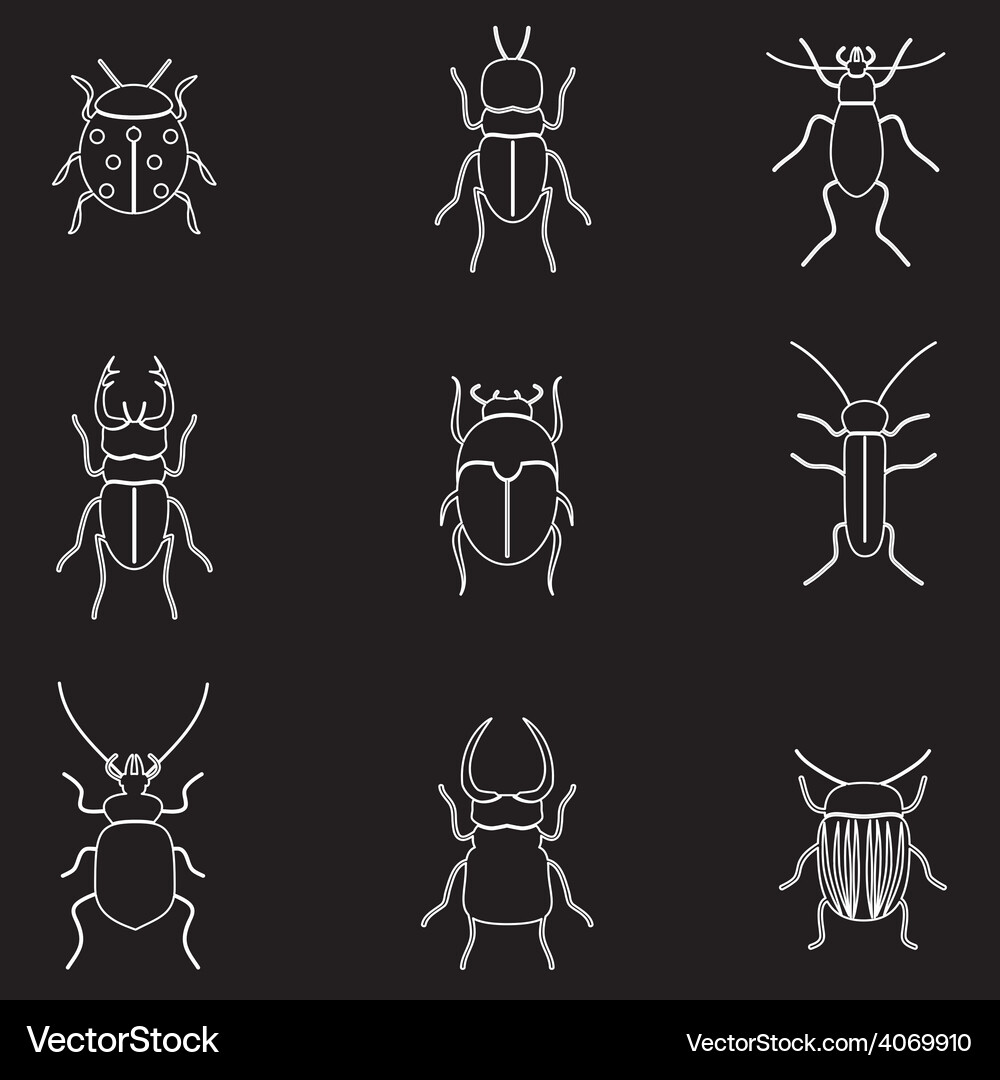 Insect Outline Icons - Beetle Collection Vector Image