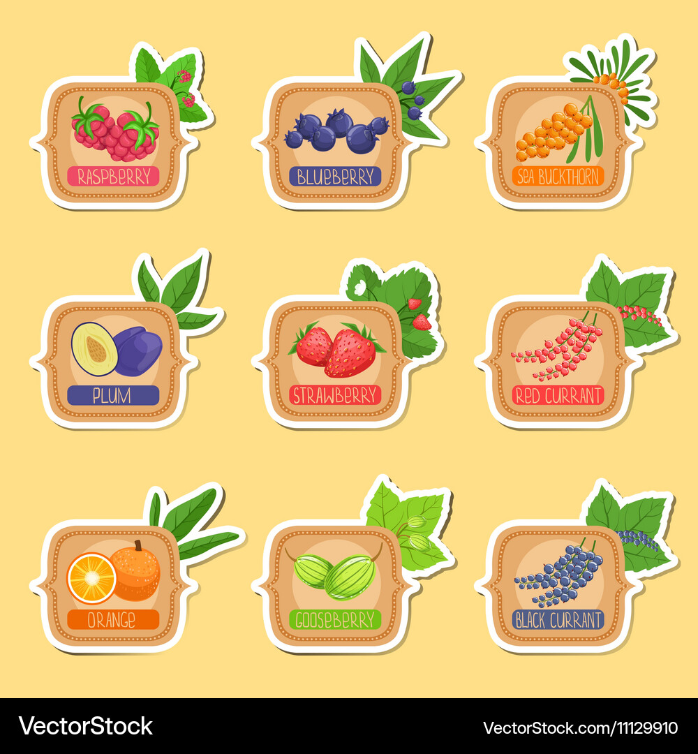 Jam label sticker collection of templates Vector Image