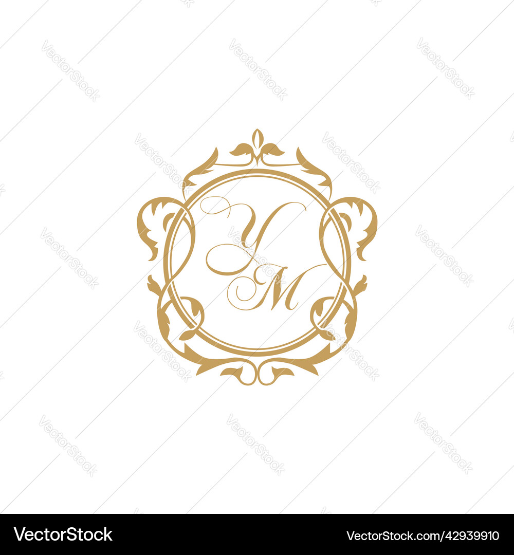 Ym initial wedding invitation elegant graphic Vector Image