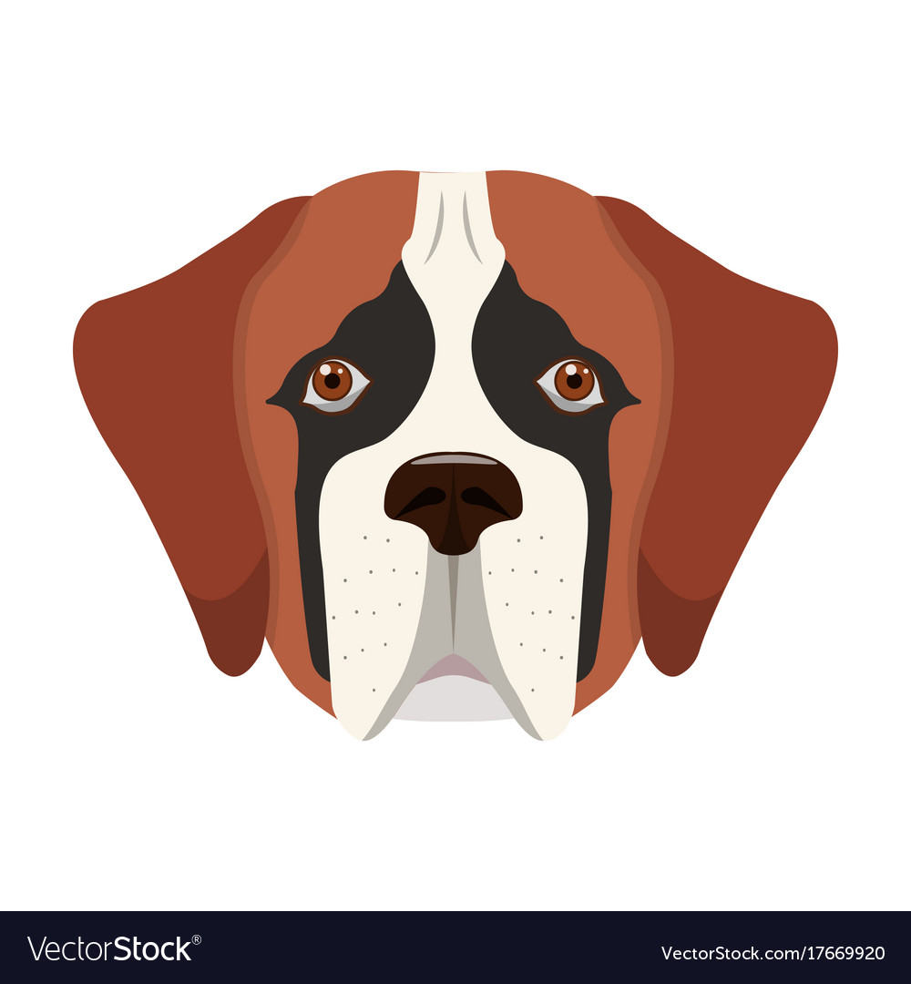 Breed of a dog st bernardmuzzle bernard Royalty Free Vector
