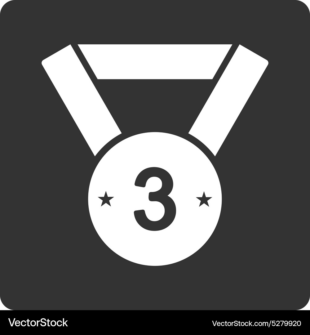 Third medal icon from award buttons overcolor set Vector Image