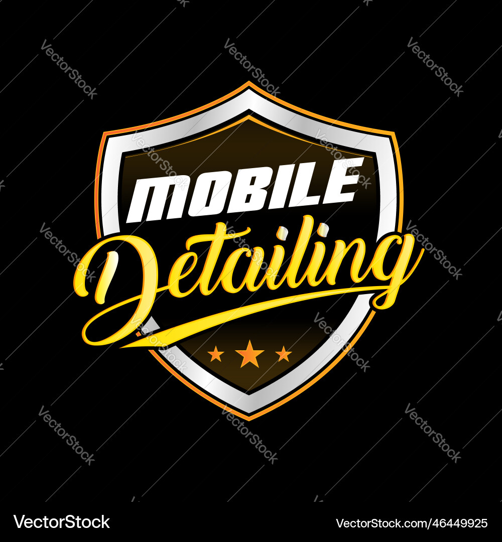Blue and silver mobile valeting and detailing Vector Image