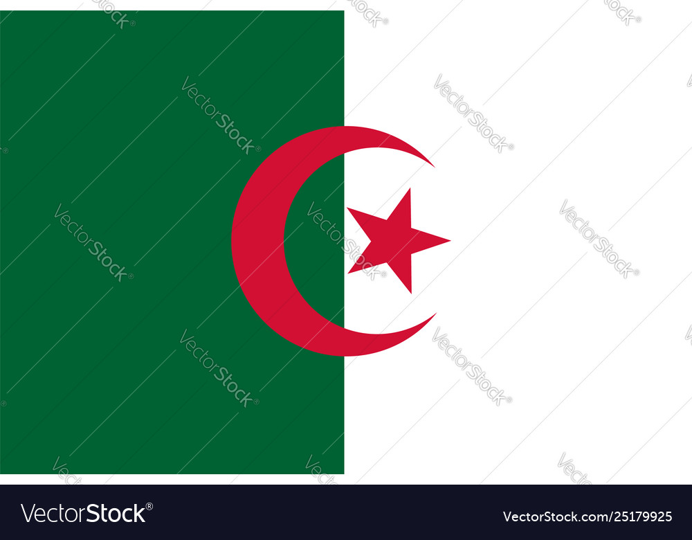 Flag rectangular shape Royalty Free Vector Image
