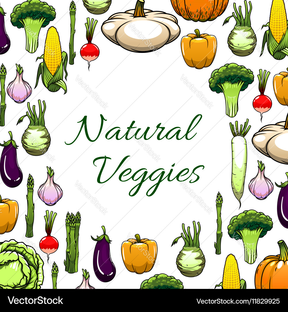 Fresh vegetable poster for vegetarian menu design Vector Image