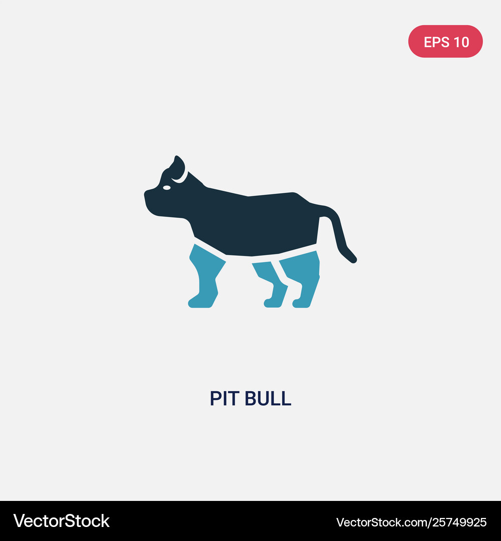 Two color pit bull icon from animals concept Vector Image