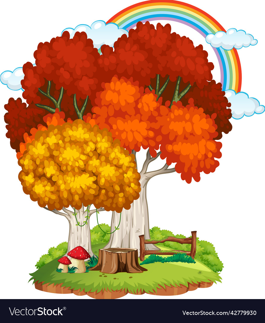 Autumn tree in nature with rainbow in the sky Vector Image