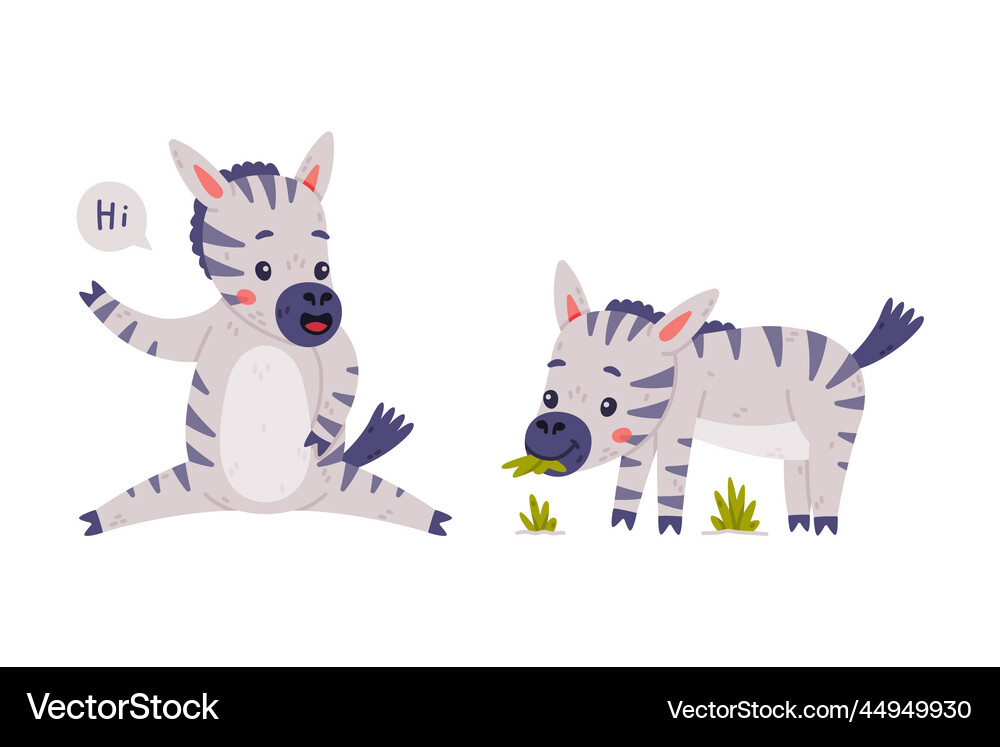 Funny zebra with black-and-white striped coat Vector Image