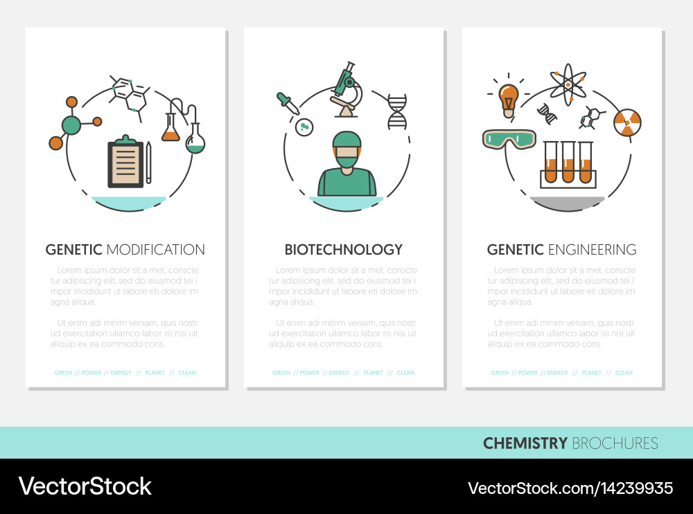 Chemistry business brochure template linear Vector Image