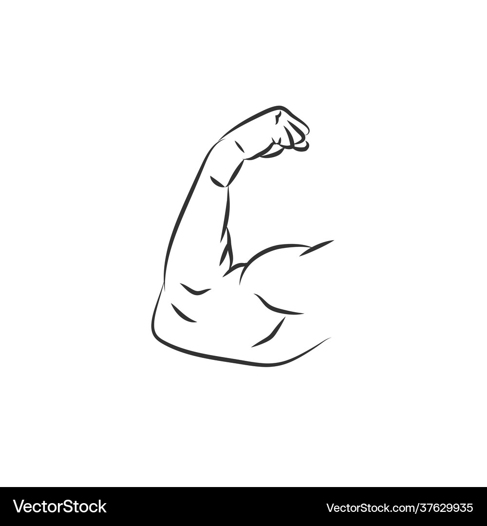 Strong muscles sign isolated on white Royalty Free Vector