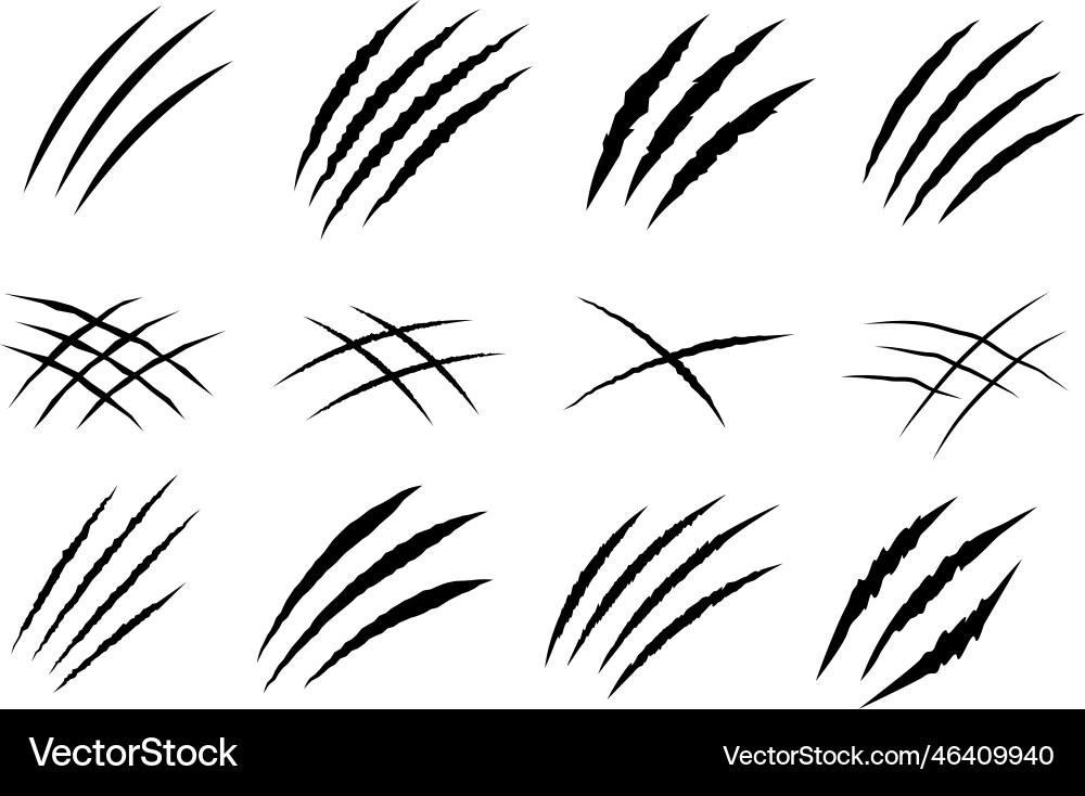 Black claw scratches bear tiger claws trails Vector Image