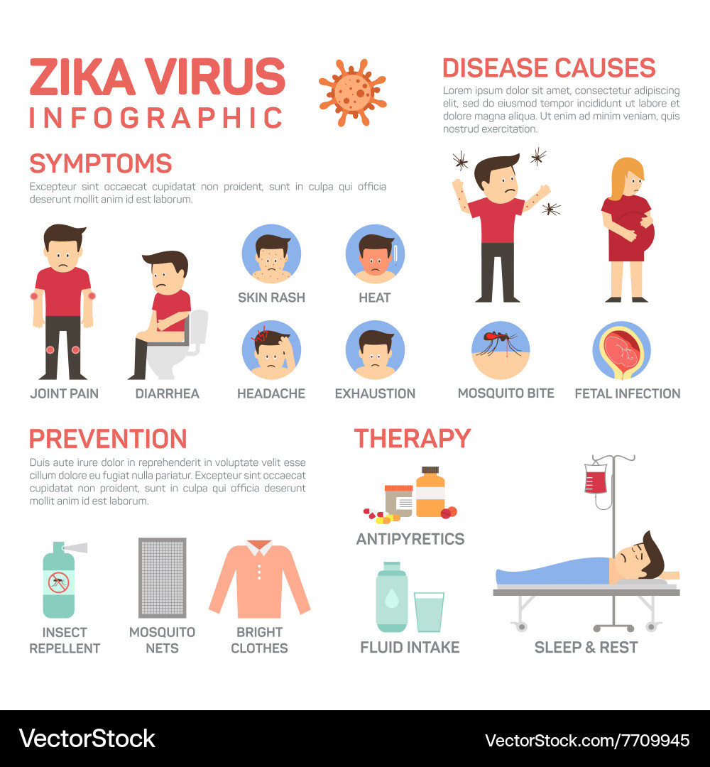 Flat of zika virus Royalty Free Vector Image - VectorStock
