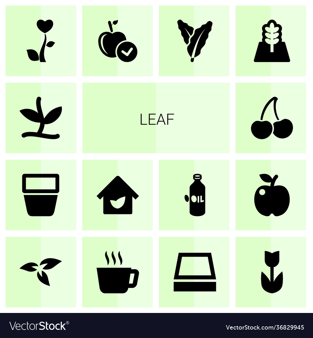 Leaf icons Royalty Free Vector Image - VectorStock