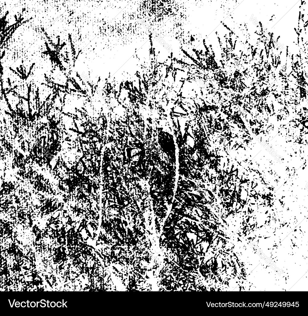 Rustic grunge texture with grain and stains Vector Image