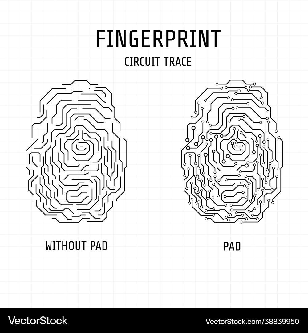 Abstract fingerprint circuit board trace concept Vector Image