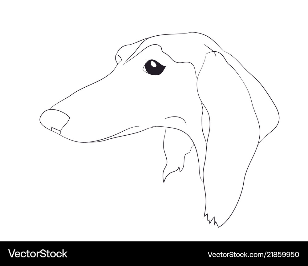 Dog portrait lines Royalty Free Vector Image - VectorStock