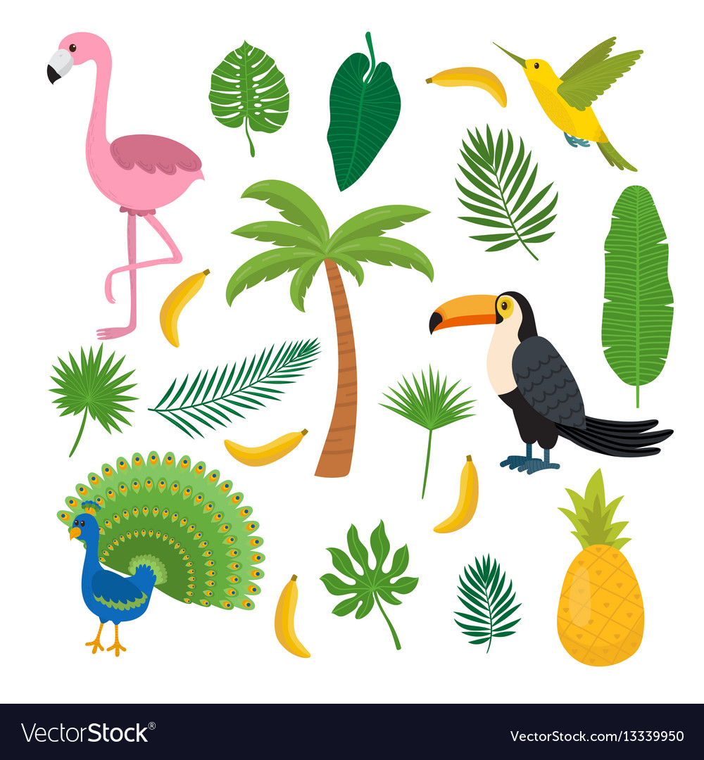 Toucan hummingbird and flamingo summer tropical Vector Image