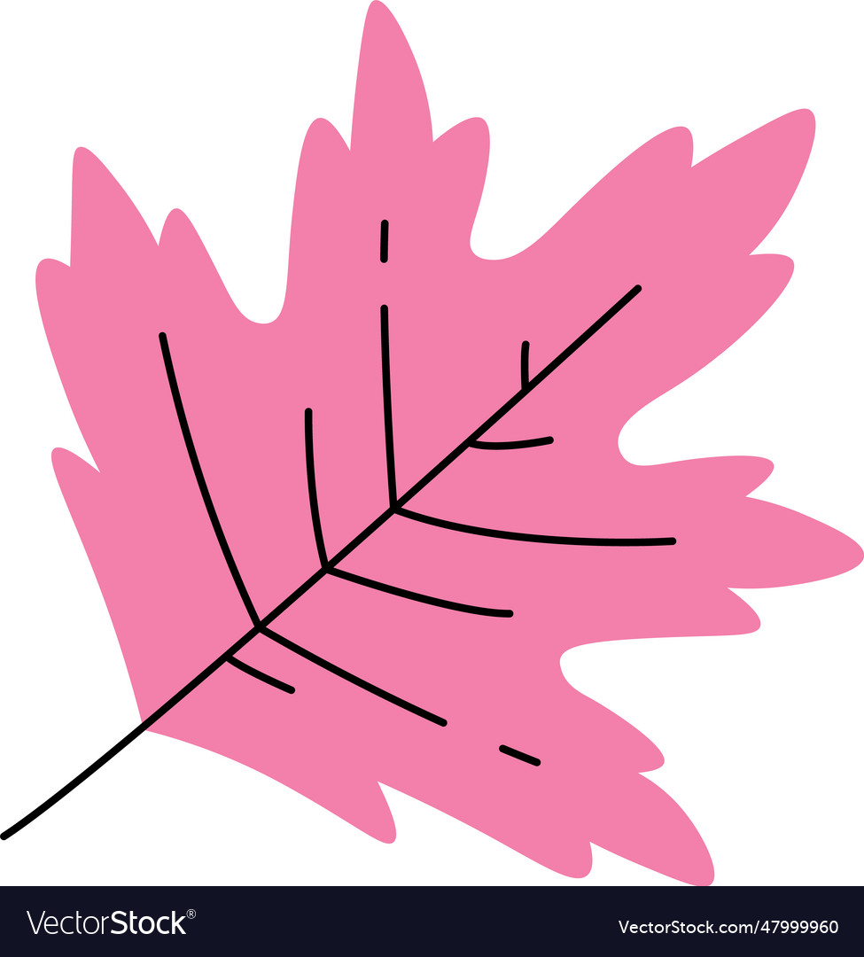 Maple tree leaf Royalty Free Vector Image - VectorStock