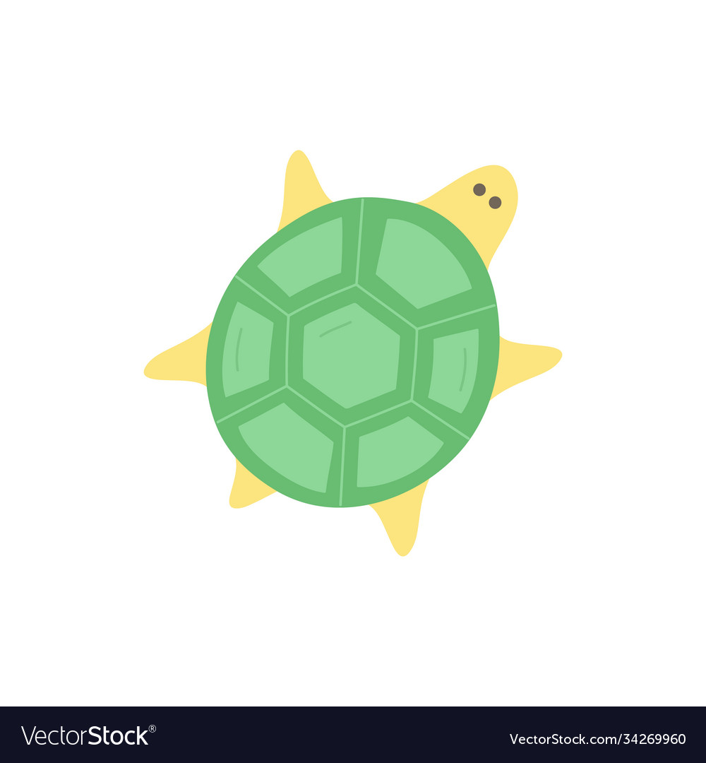 Turtle cute Royalty Free Vector Image - VectorStock
