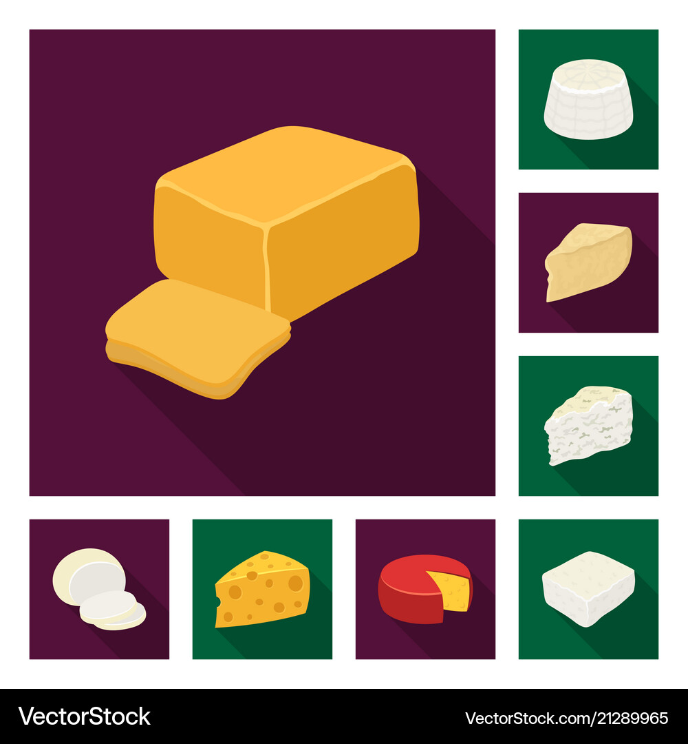 Different kind of cheese flat icons in set Vector Image