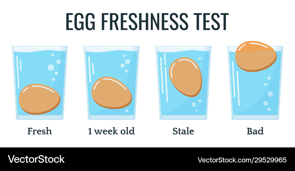 Eggs floating in transparent glass water Vector Image