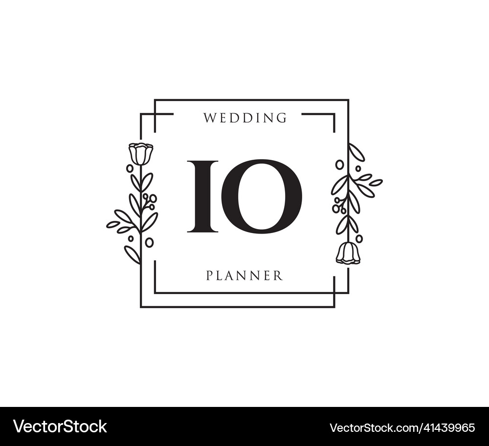 Initial io feminine logo usable for nature salon Vector Image