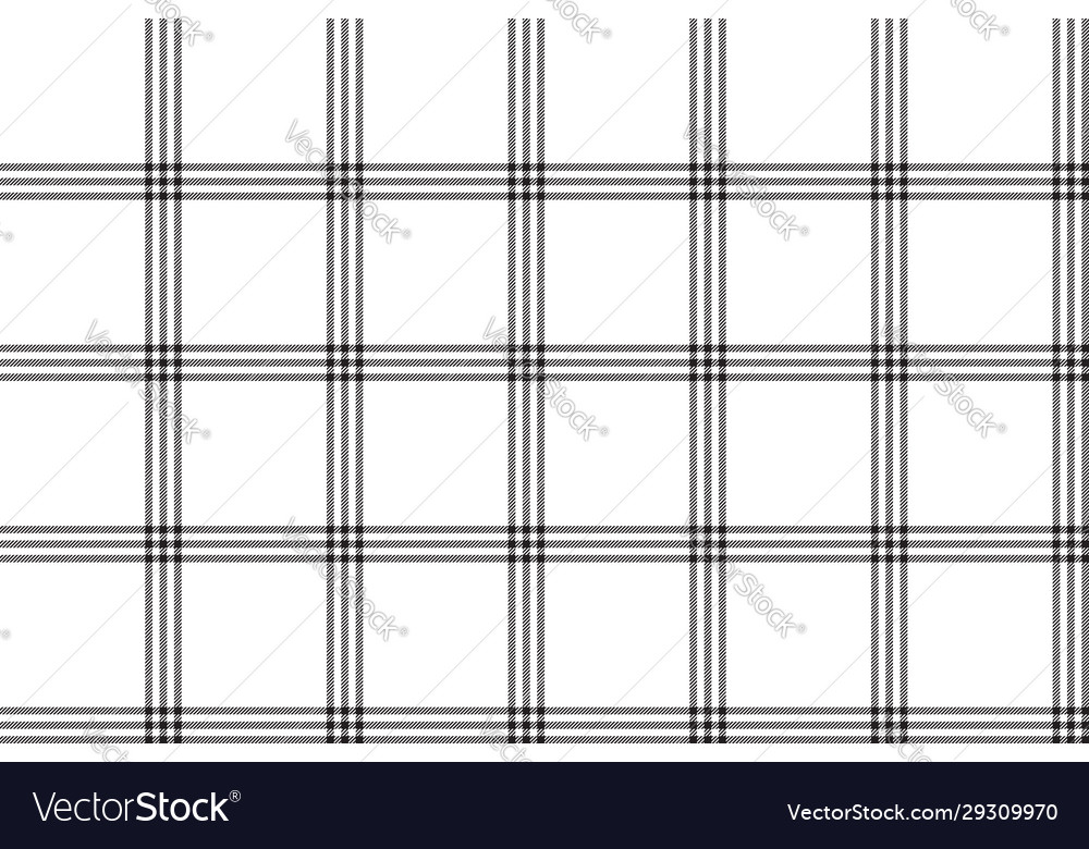 Black white color plaid seamless pattern Vector Image