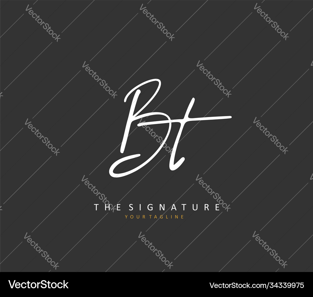 B t bt initial letter handwriting and signature Vector Image